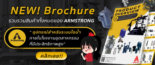 จำหน่าย อุปกรณ์กรองไอน้ำมาตรฐาน ARMSTRONG - Steam Filter