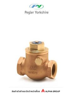 จำหน่ายเช็ควาล์ว ARI - Check Valve CHECKO D นำเข้าจากเยอรมนี