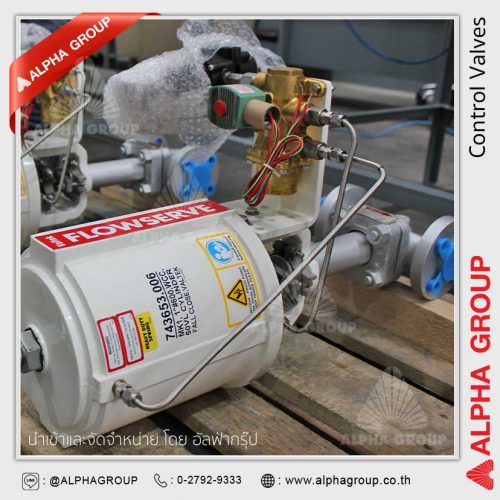 จำหน่าย Linear Globe/Angle Control Valves - Mark One - Flowserve