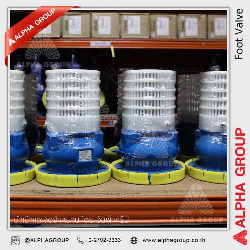 จำหน่ายวาล์วหัวกะโหลก วาล์วดูดน้ำ SOCLA - Foot Valve Type 302P