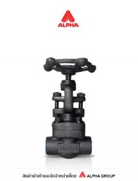 จำหน่ายวาล์วลูกสูบ ALPHA - Pneumatic angle piston valve