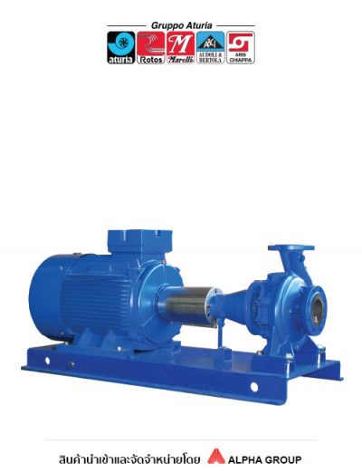 ATURIA ROTOS - End Suction Pump model NA/NE