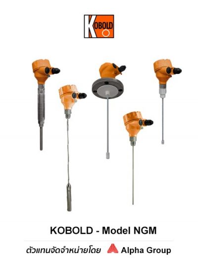 เครื่องวัดระดับของเหลวและของแข็ง Guided Radar Level Transmitter