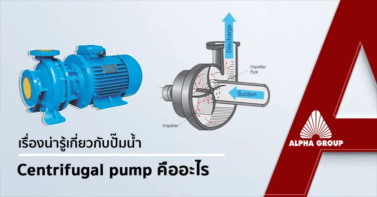 Centrifugal pump คืออะไร และทำงานอย่างไร