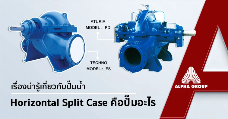 Horizontal Split Case คือปั๊มอะไร และหน้าตาเป็นอย่างไร - Alpha Group ...