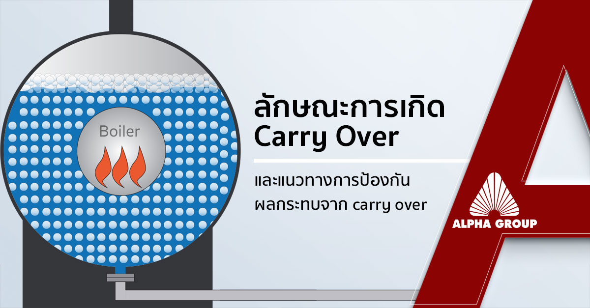 ลักษณะการเกิด Carry Over - Alpha Group Company