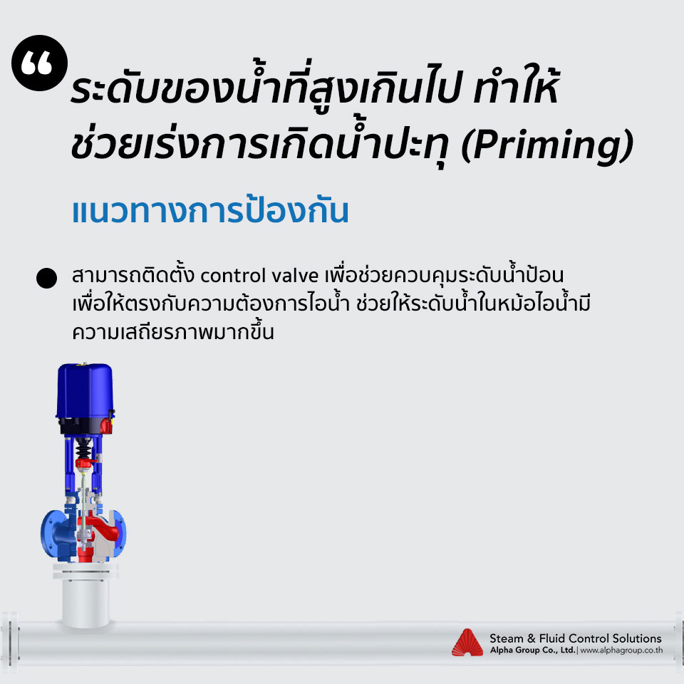 ลักษณะการเกิด Carry Over - Alpha Group Company