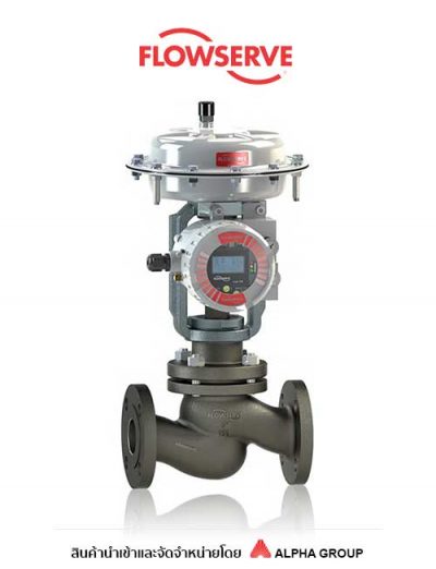 PRUSS - Control Valve