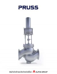 จำหน่ายวาล์วลูกลอยควบคุมระดับน้ำ RAPHAEL - Float Control Valve