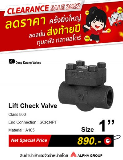 จำหน่ายเช็ควาล์ว ARI - Check Valve CHECKO D นำเข้าจากเยอรมนี