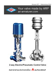 PRUSS - Control Valve