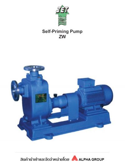 ATURIA ROTOS - End Suction Pump model NA/NE