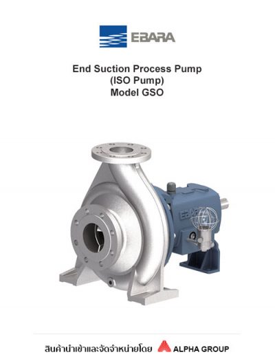 จำหน่ายปั๊มน้ำ Ebara รุ่น GS ปั๊มน้ำหอยโข่ง มาตรฐาน DIN