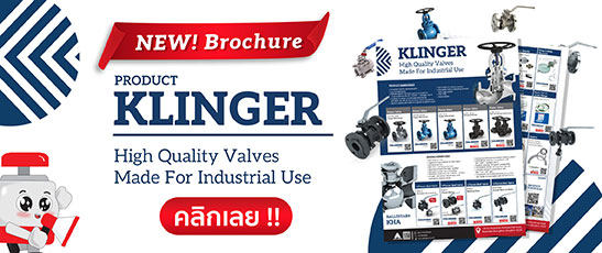 จำหน่าย มาตรวัดระดับน้ำ KLINGER - Reflex Level Gauges