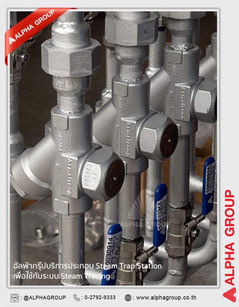 บริการประกอบ Steam Trap Station เพื่อใช้กับระบบ Steam Tracing