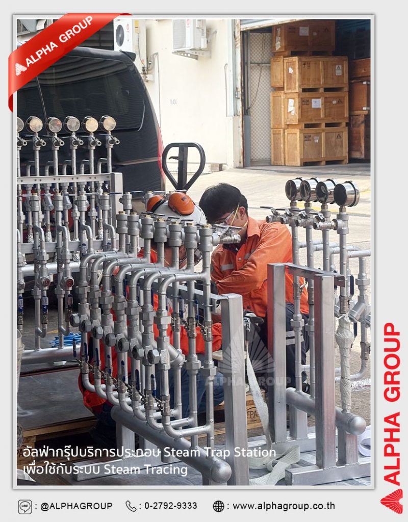 บริการประกอบ Steam Trap Station เพื่อใช้กับระบบ Steam Tracing